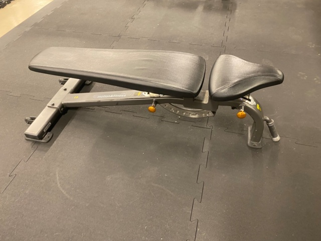 Exercise bench Motion & Fitness Pro - PS Auction - We value the future ...
