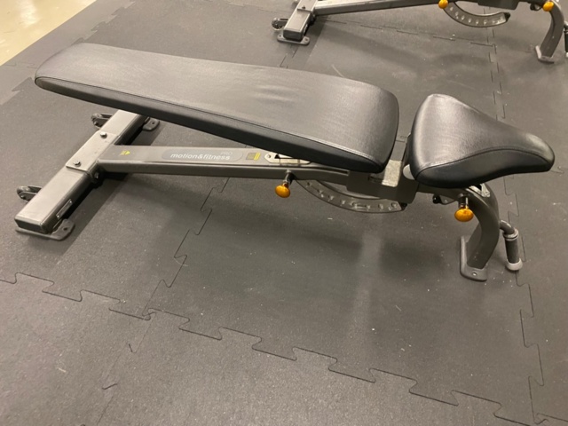 Exercise bench Motion & Fitness Pro - PS Auction - We value the future ...