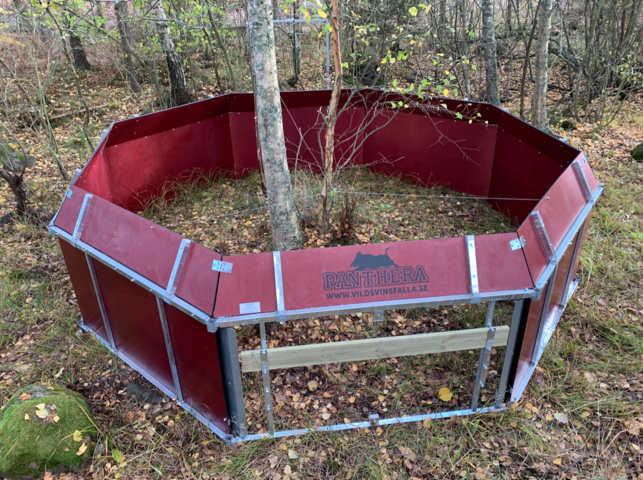 Wild boar trap Panthera Multitrap 7.5 sq.m - PS Auction - We value the ...