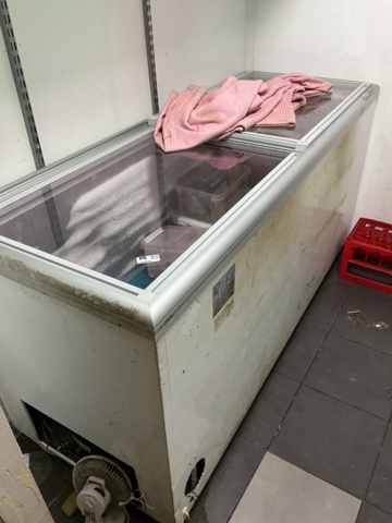 2 pcs. Freezer boxes - PS Auction - We value the future - Largest in ...