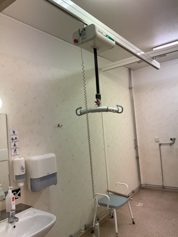 Handicap Lift Likorall R2R 200 kg - PS Auction - We value the future ...