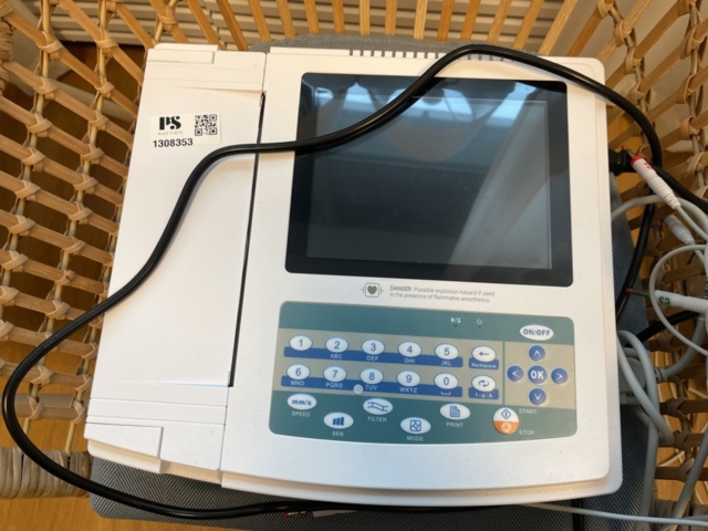 ECG Machine Gima - PS Auction - We value the future - Largest in net ...