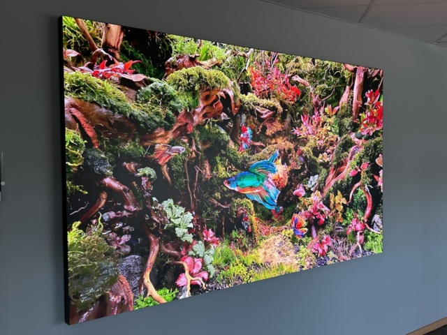 LED screen 110" - Samsung The Wall - PS Auction - We value the future ...