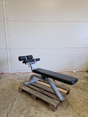 Sit-up bench Johnson - PS Auction - We value the future - Largest in ...