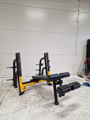 Decline bench press - Matrix - PS Auction - We value the future ...
