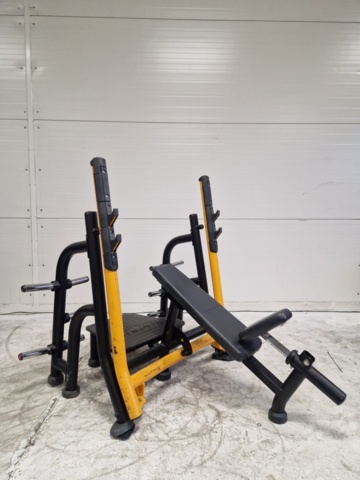 Incline bench press - Matrix - PS Auction - We value the future ...