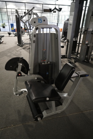 Leg kick machine Precor Icarian Line - PS Auction - We value the future ...