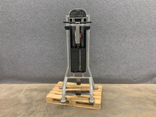 Calf press standing / Calf Machine EvoFit Panatta - PS Auction - We ...