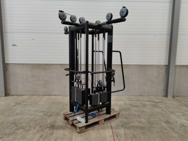 Multimachine TechnoGym Cable Jungle - PS Auction - We value the future ...