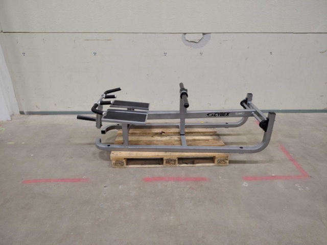 T-row standing rowing machine – Cybex - PS Auction - We value the ...