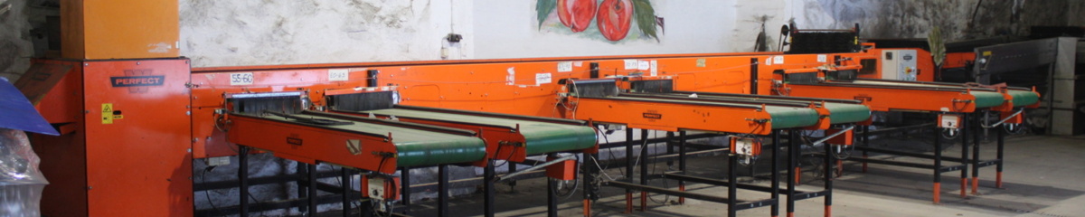 Blågrund Frukt i konkurs - Auktioner online - Nätauktioner ...